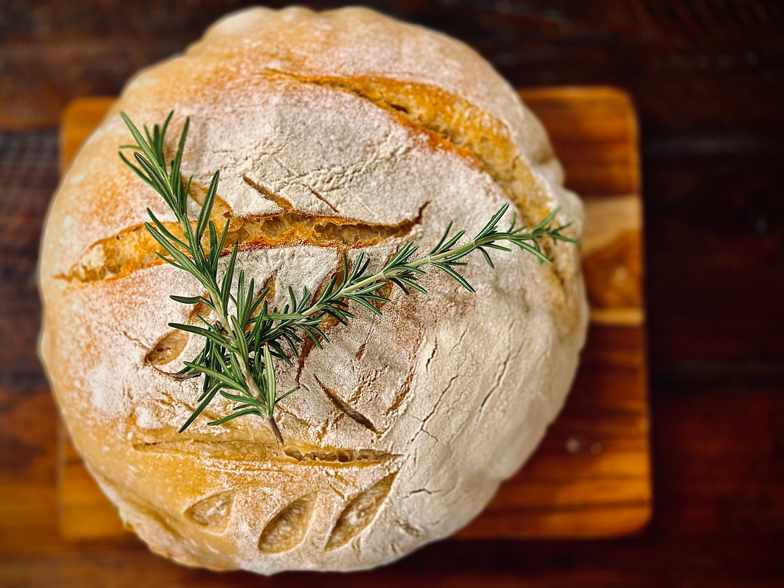 Rosemary Garlic Sourdough Bread Boul | Black Jack Ranch, LLC